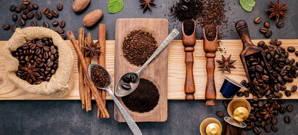 Panettone Biscofner - Ofner 35.27oz – Supermercado Brazil